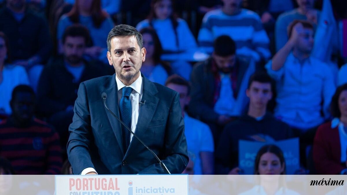 Rui Rocha: "A maternidade é um dos fatores que dispara a desigualdade ...